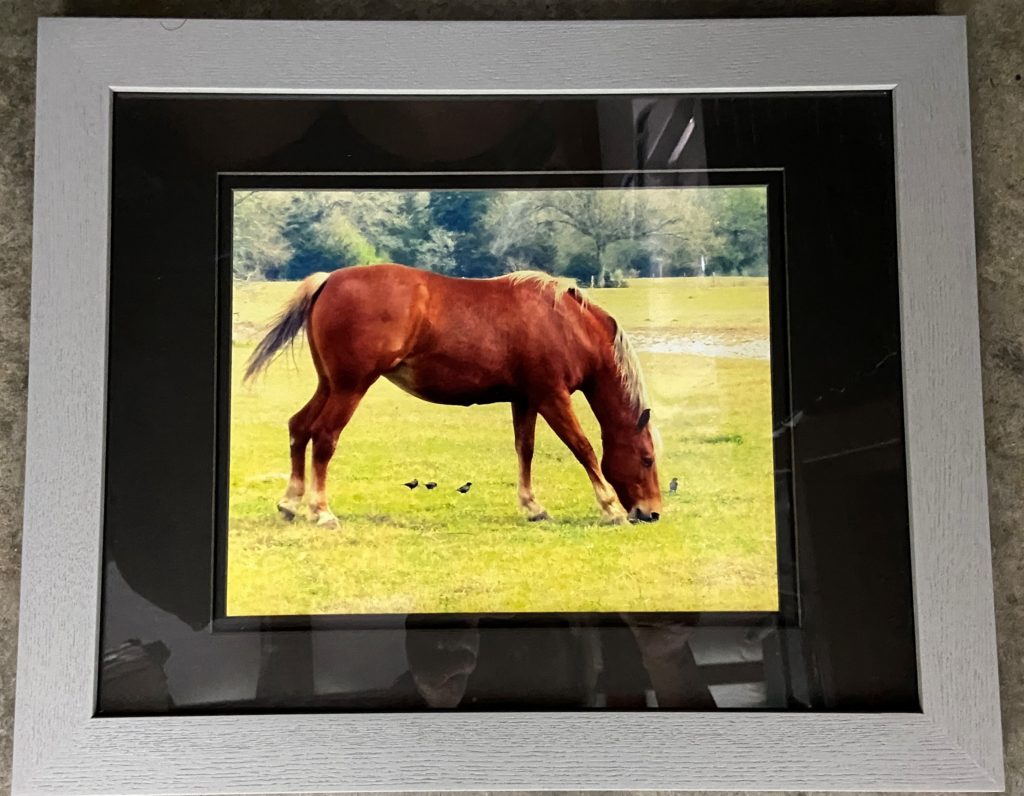 Gipsy with the Birds - Round Rock Arts